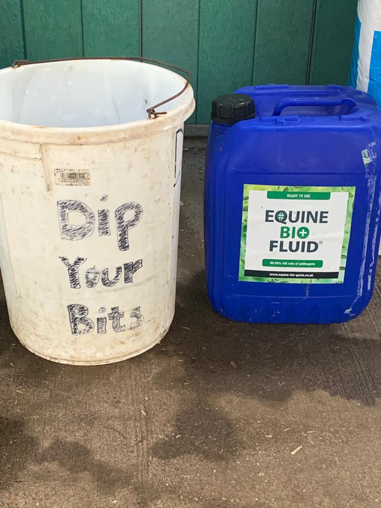 Why do we need the Equine BIO System? – Equine BIO Genie