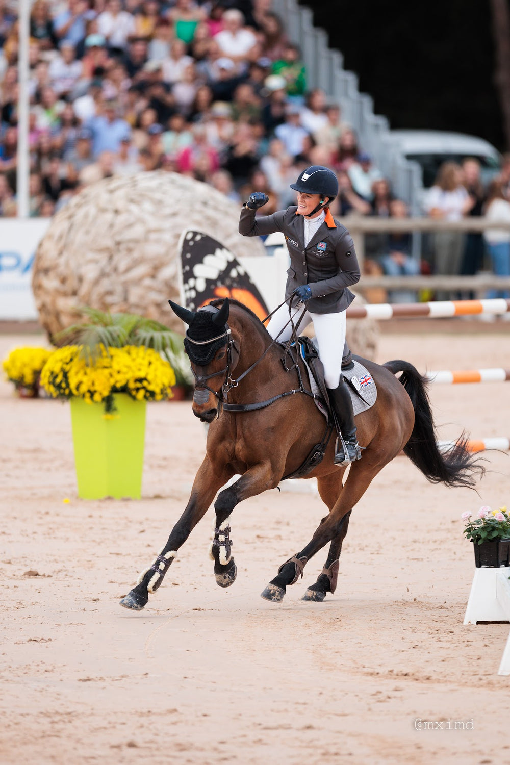 Who we work with – Equine BIO Genie