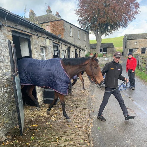 Yard Treatment – Equine BIO Genie